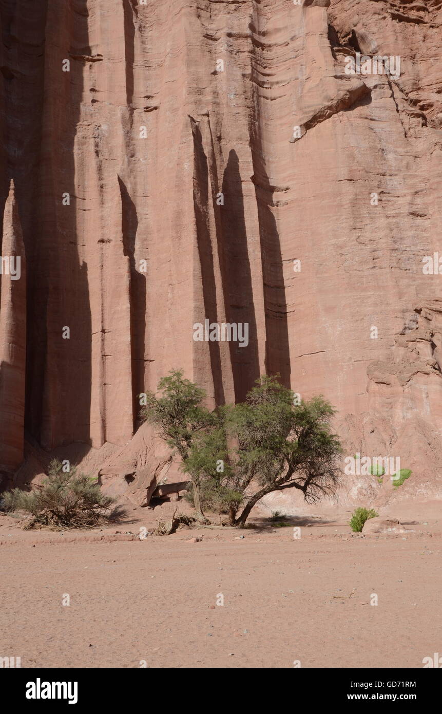 Talampaya, South America, Argentina, red, canyon, cliff, colorful ...