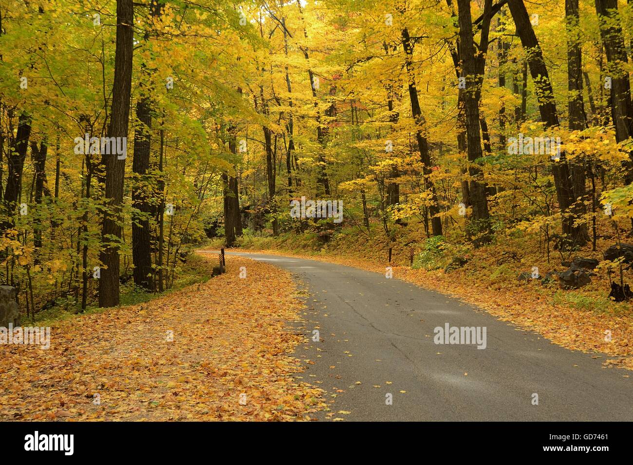Autumn Colors Along a Rural Road in Devils Lake State Park near Baraboo ...
