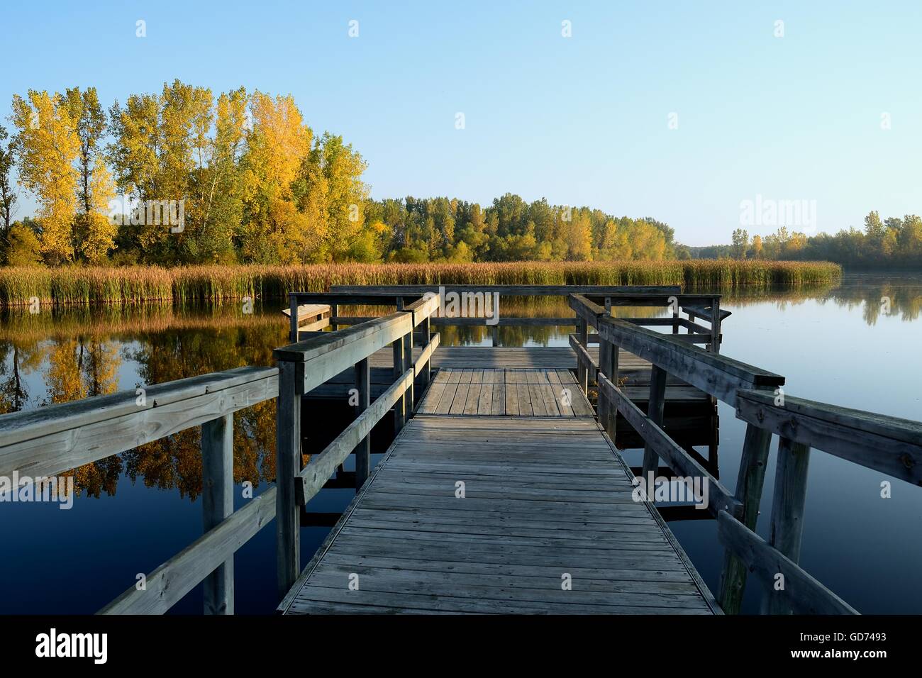 Autumn Colors and a Fishing Dock on a Calm Morning Stock Photo - Alamy
