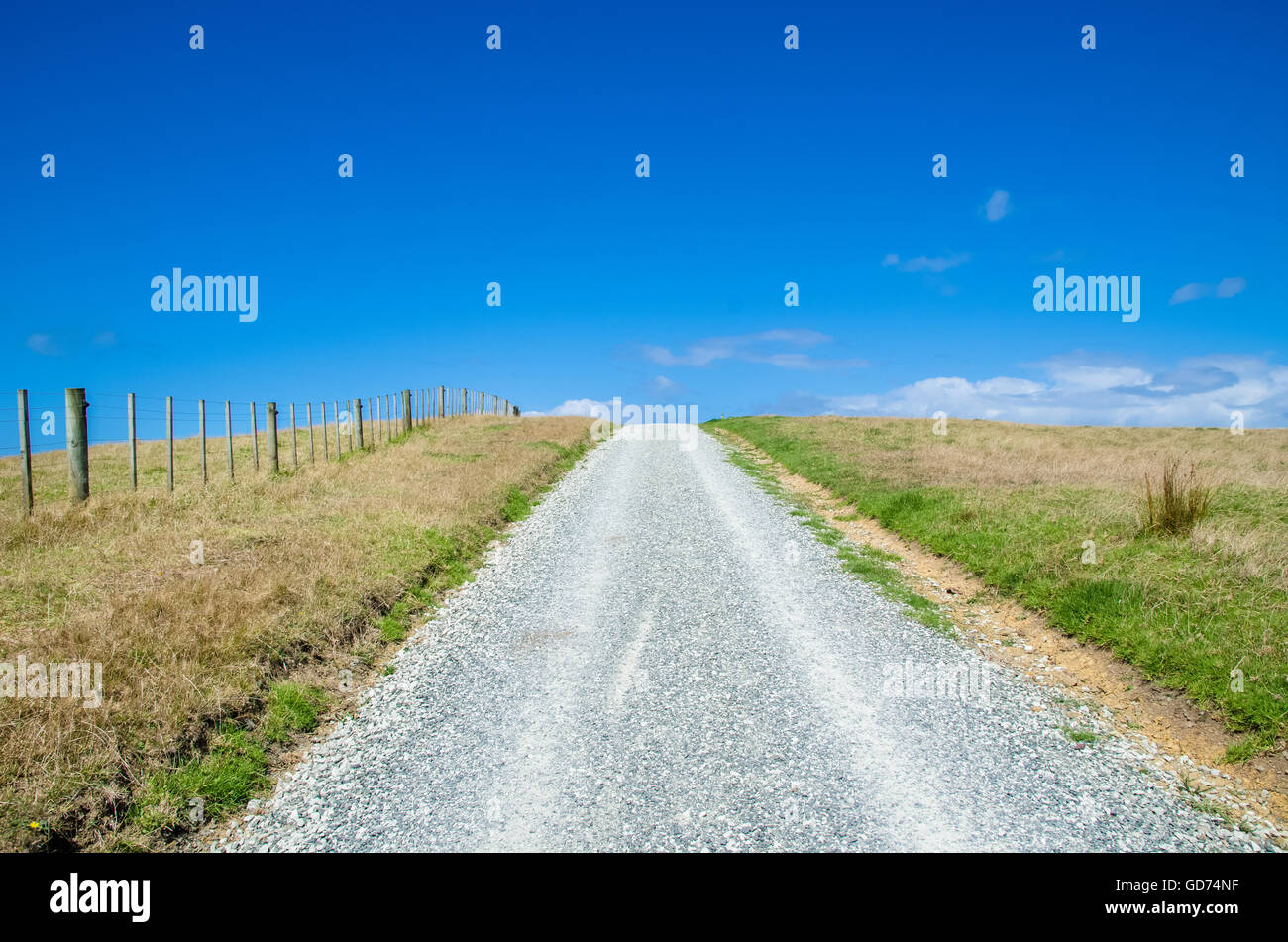 Pathway in the Shakespear Regional Park, Auckland Region, New Zealand ...