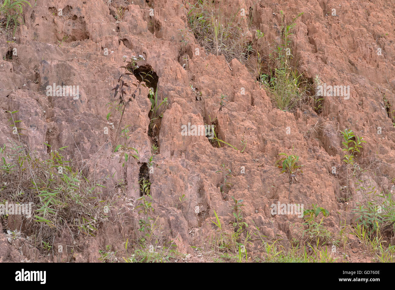 Erosion on the side of a road in Petropolis, Brazil, as the result of ...