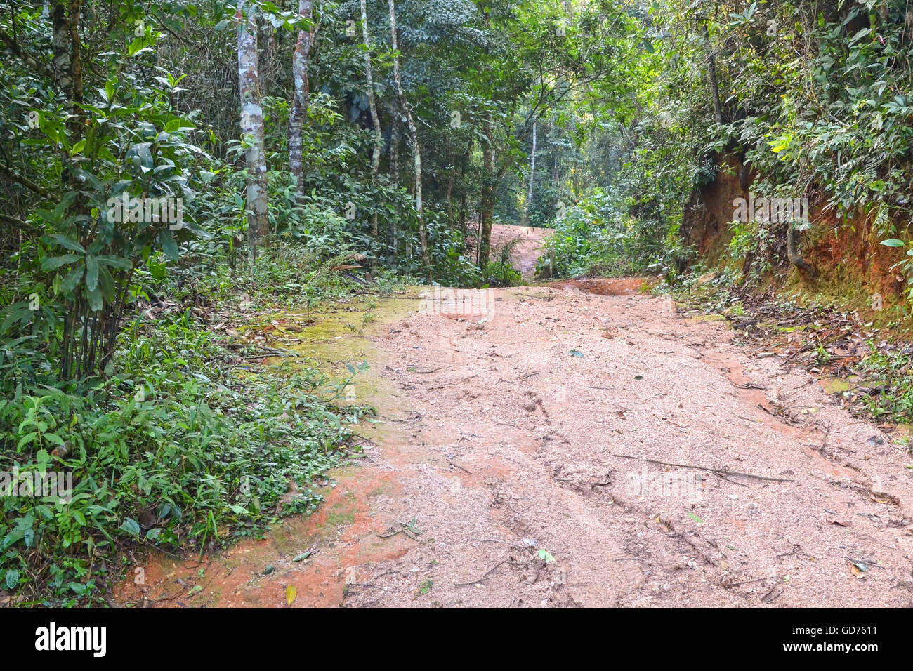 Signs of erosion hi-res stock photography and images - Alamy