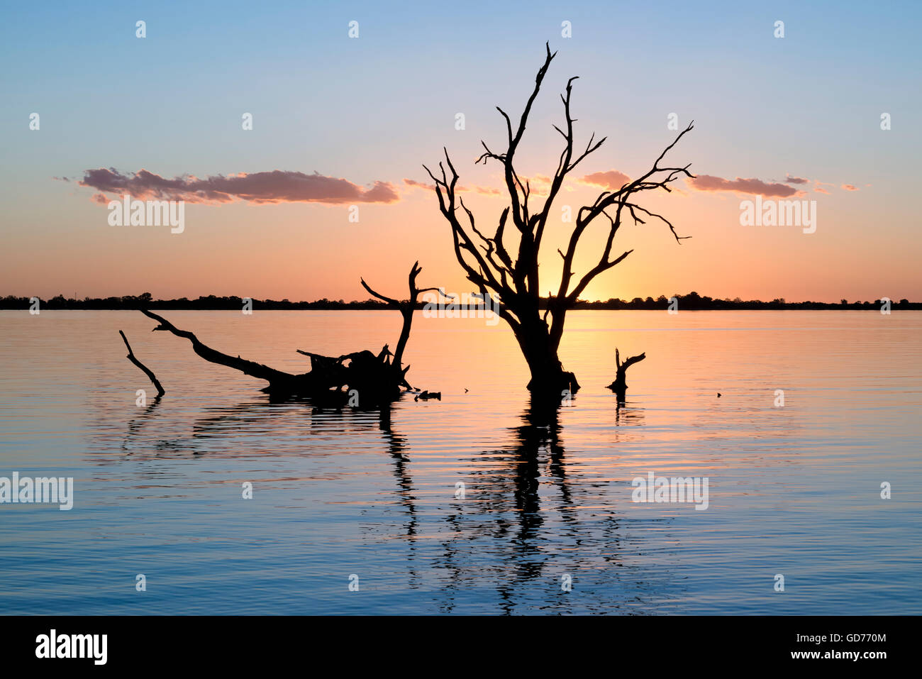 Lake bonney fishing hi-res stock photography and images - Alamy