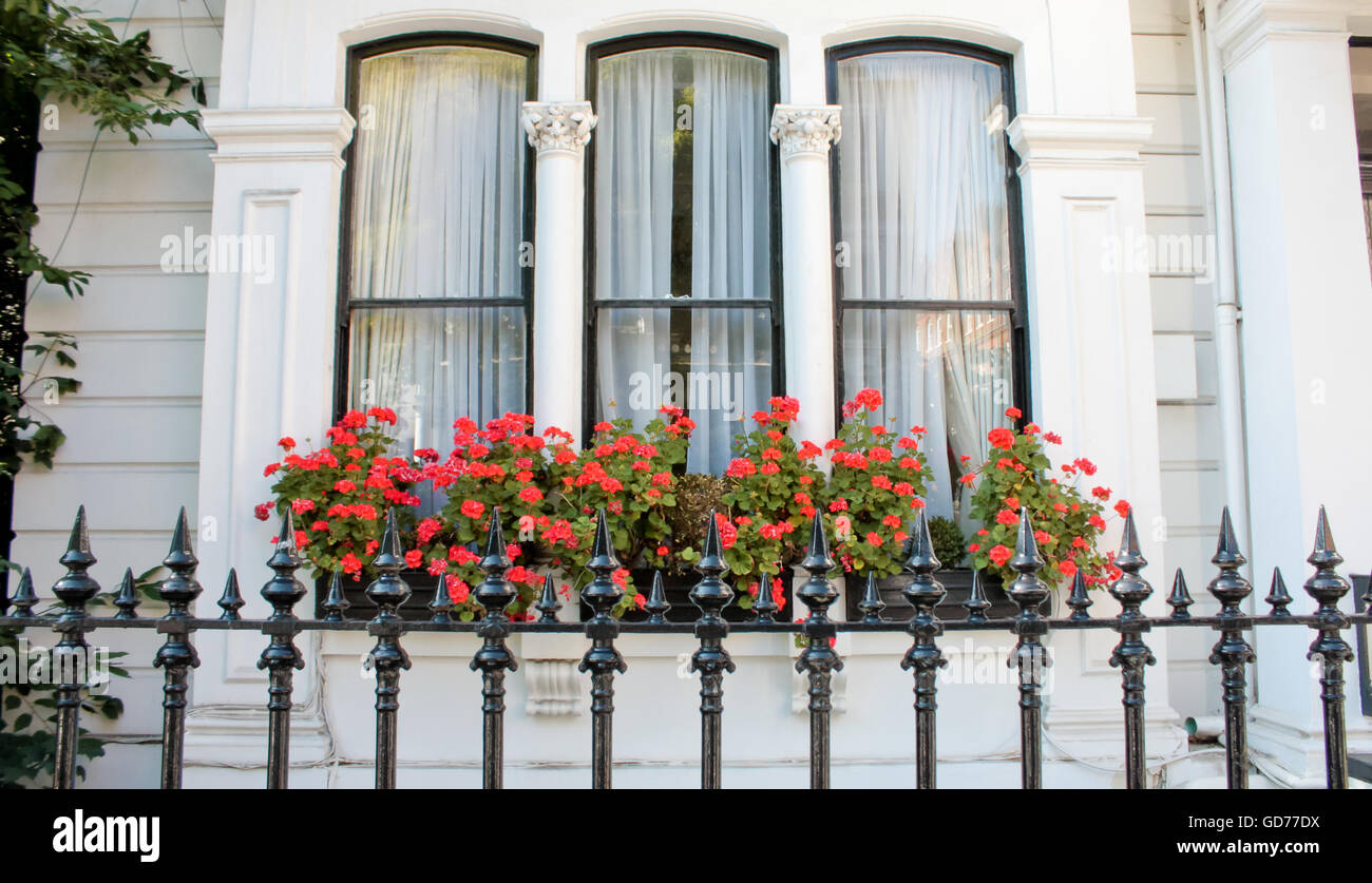 English window with flowers Stock Photo - Alamy