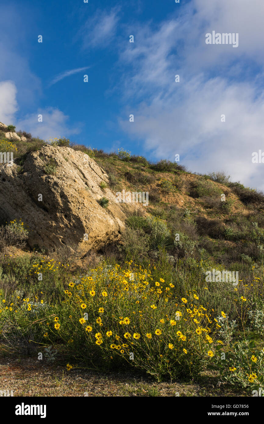 California golden hills hillside summer hi-res stock photography and ...