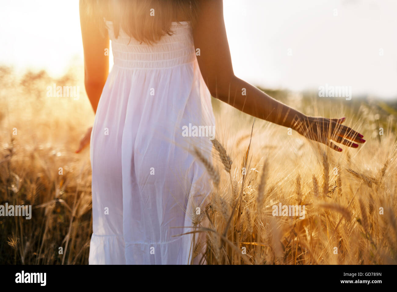 Beautiful romantic woman in golden fields of barley Stock Photo - Alamy