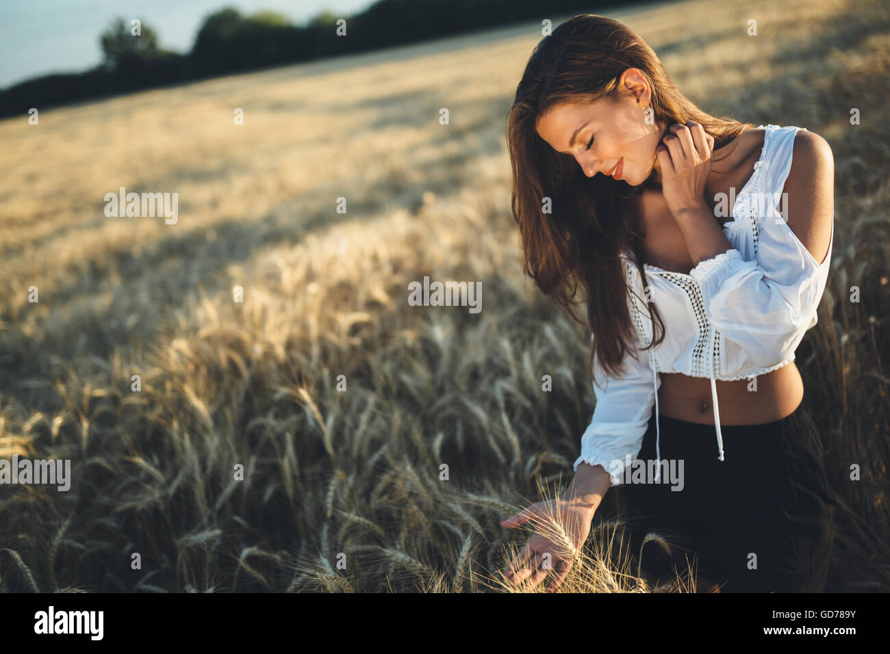 Beautiful romantic woman in golden fields of barley Stock Photo - Alamy