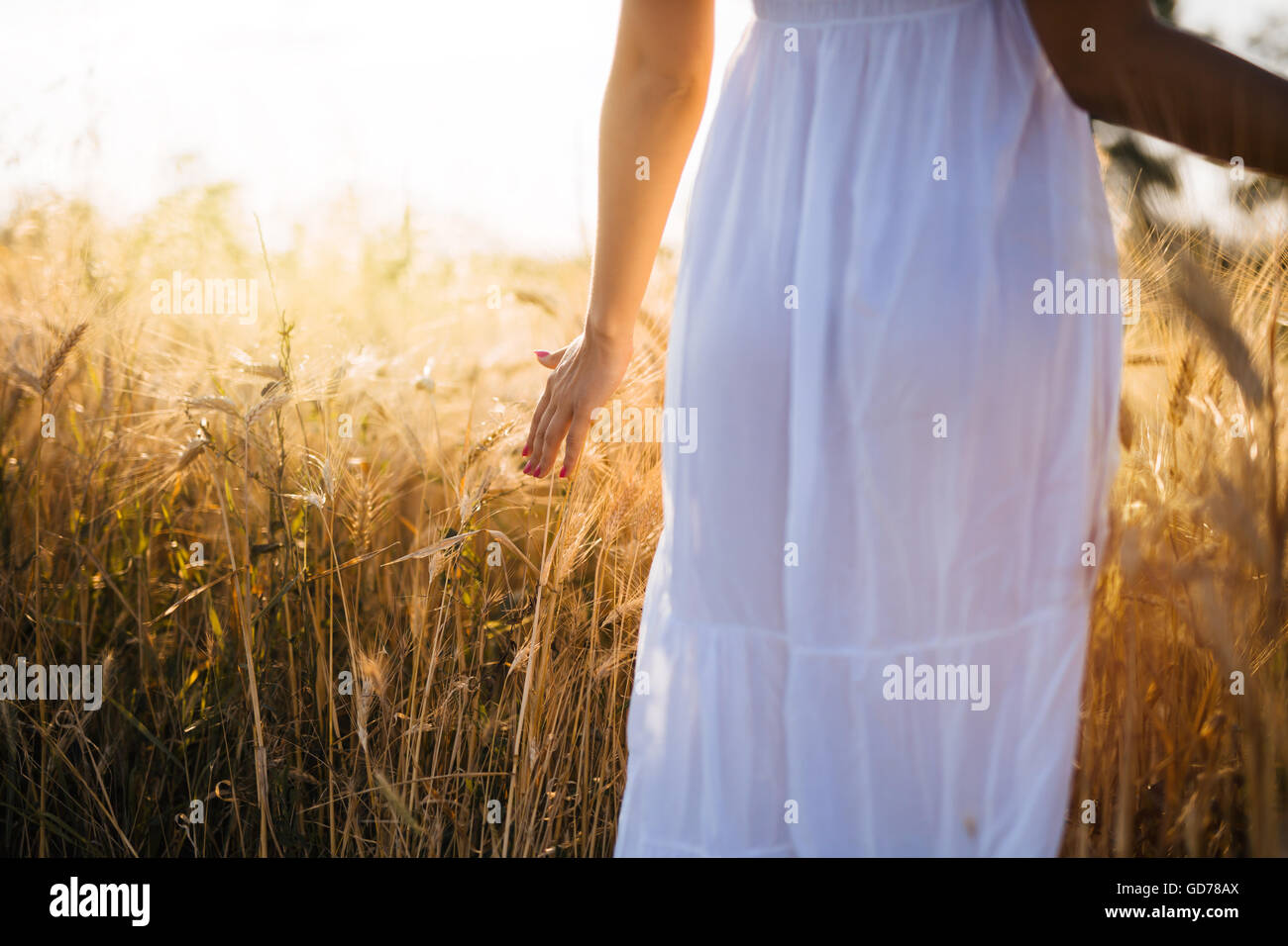 Beautiful romantic woman in golden fields of barley Stock Photo - Alamy