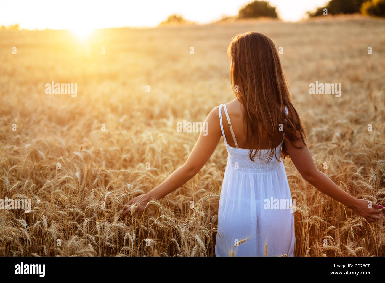 Beautiful romantic woman in golden fields of barley Stock Photo - Alamy