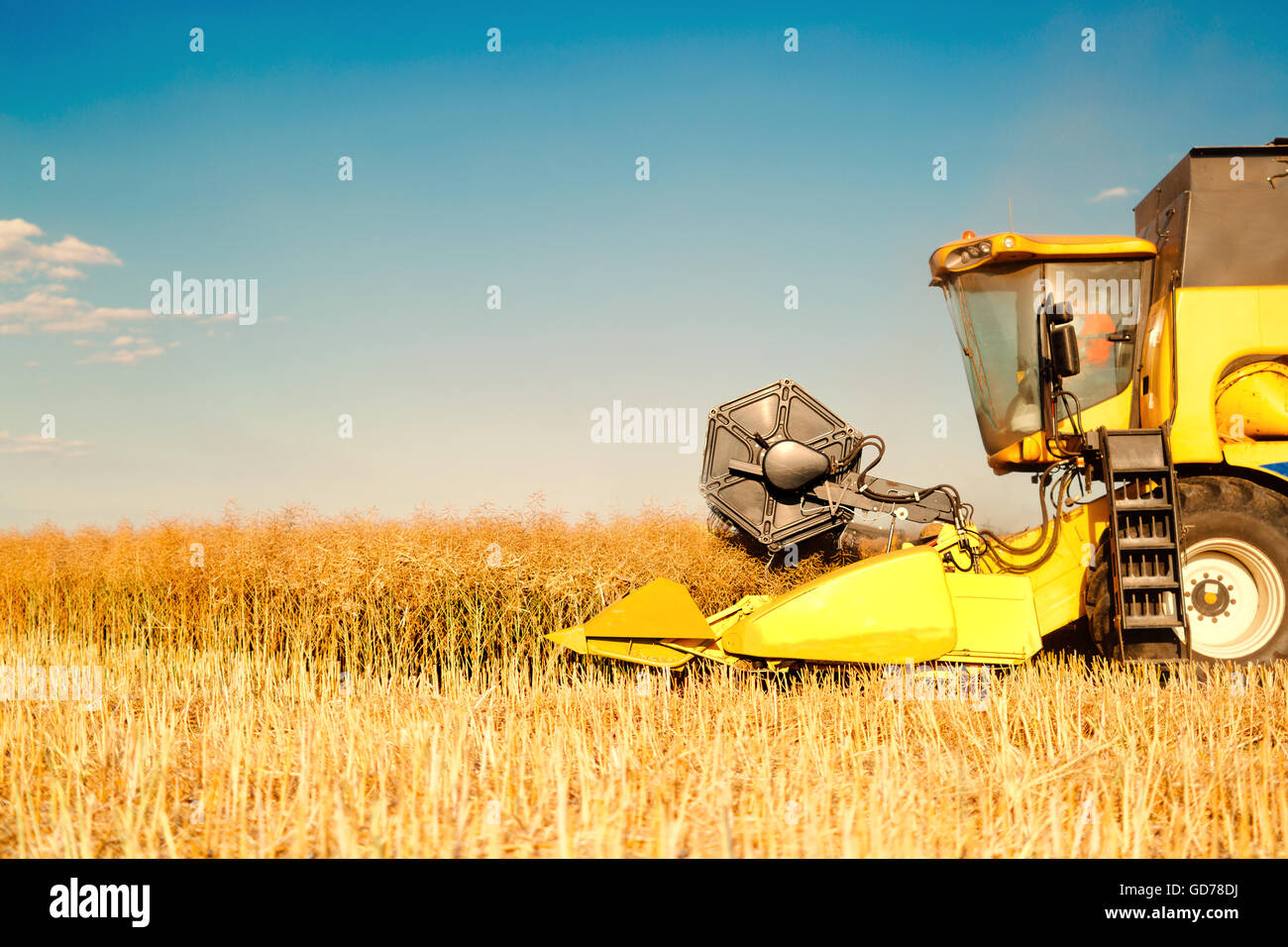 Harvesting oat hi-res stock photography and images - Alamy