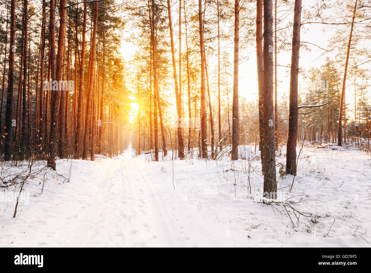 Amazing Beautiful sunset sunrise sun sunshine in sunny winter snowy ...