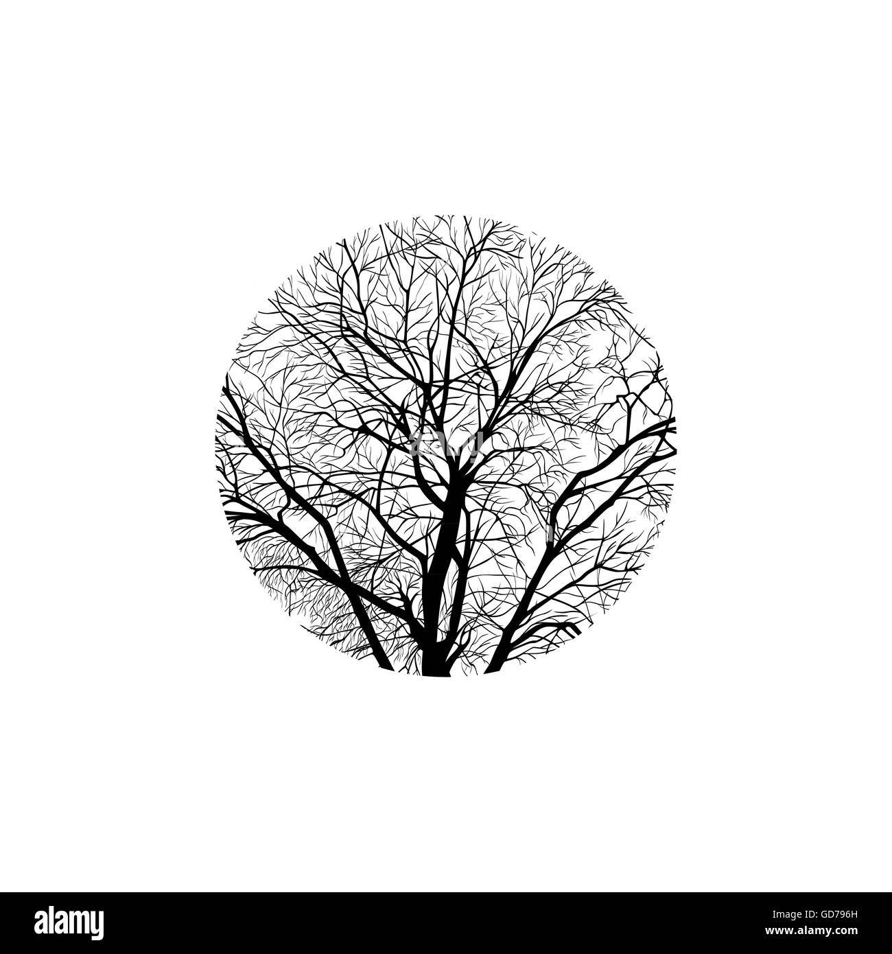 Tree branch in shape circle hi-res stock photography and images - Alamy
