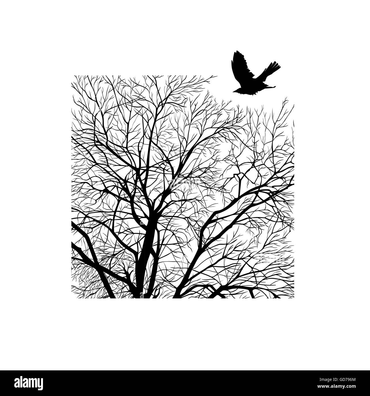 Border garden winter Black and White Stock Photos & Images - Alamy