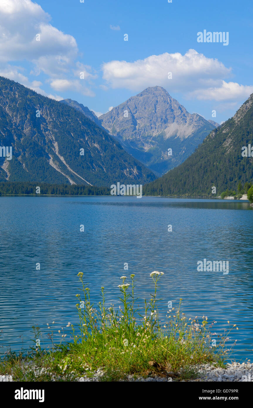 Austria, Plansee, Tirol, Lake Plansee, Seespitz, Ammergau Alps Stock ...