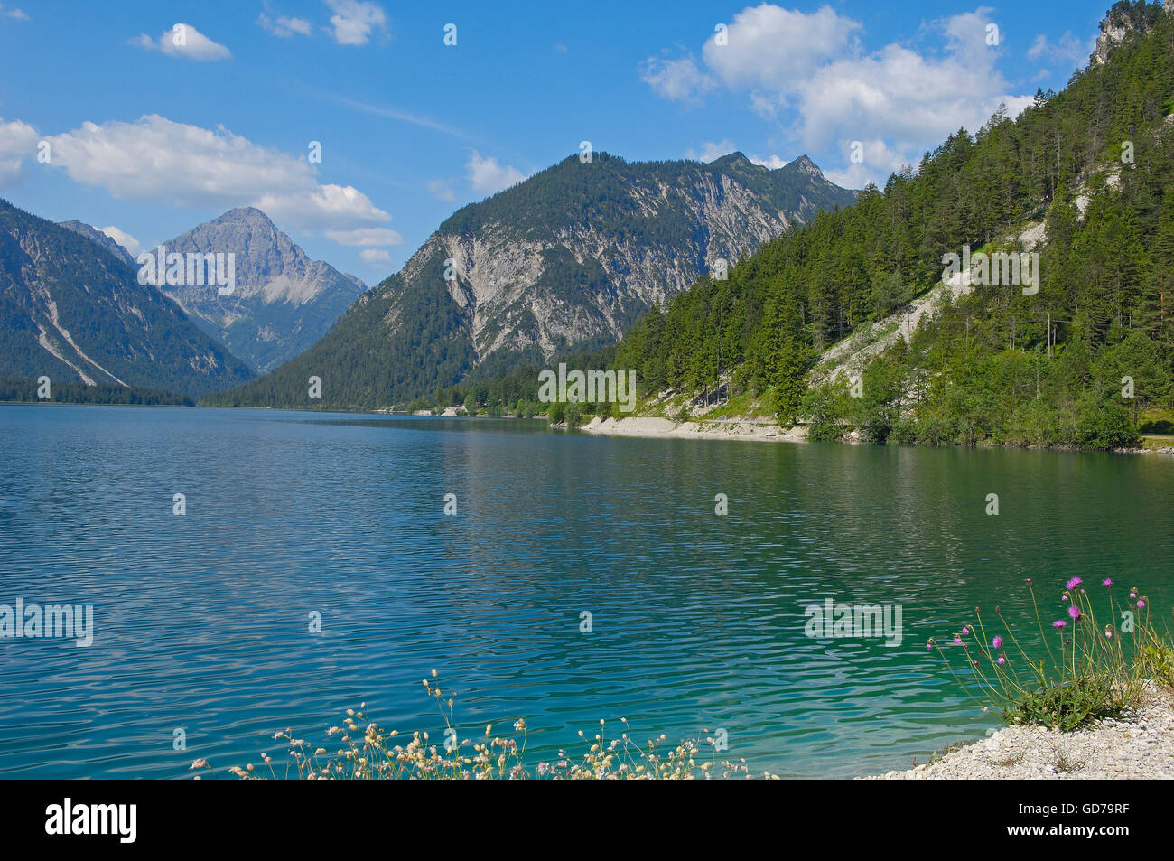 Austria, Plansee, Tirol, Lake Plansee, Seespitz, Ammergau Alps Stock ...
