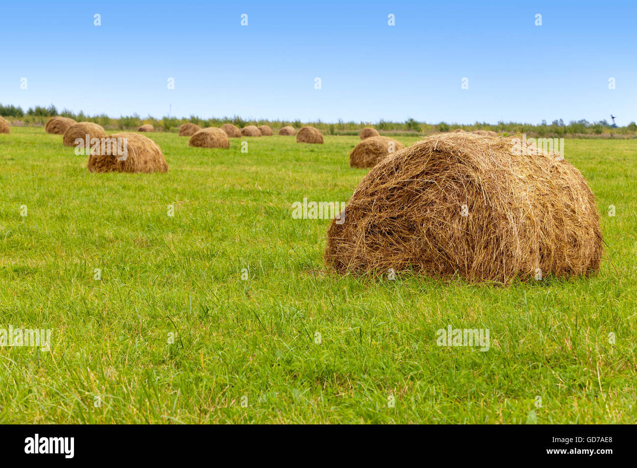 Corn stacks hi-res stock photography and images - Alamy