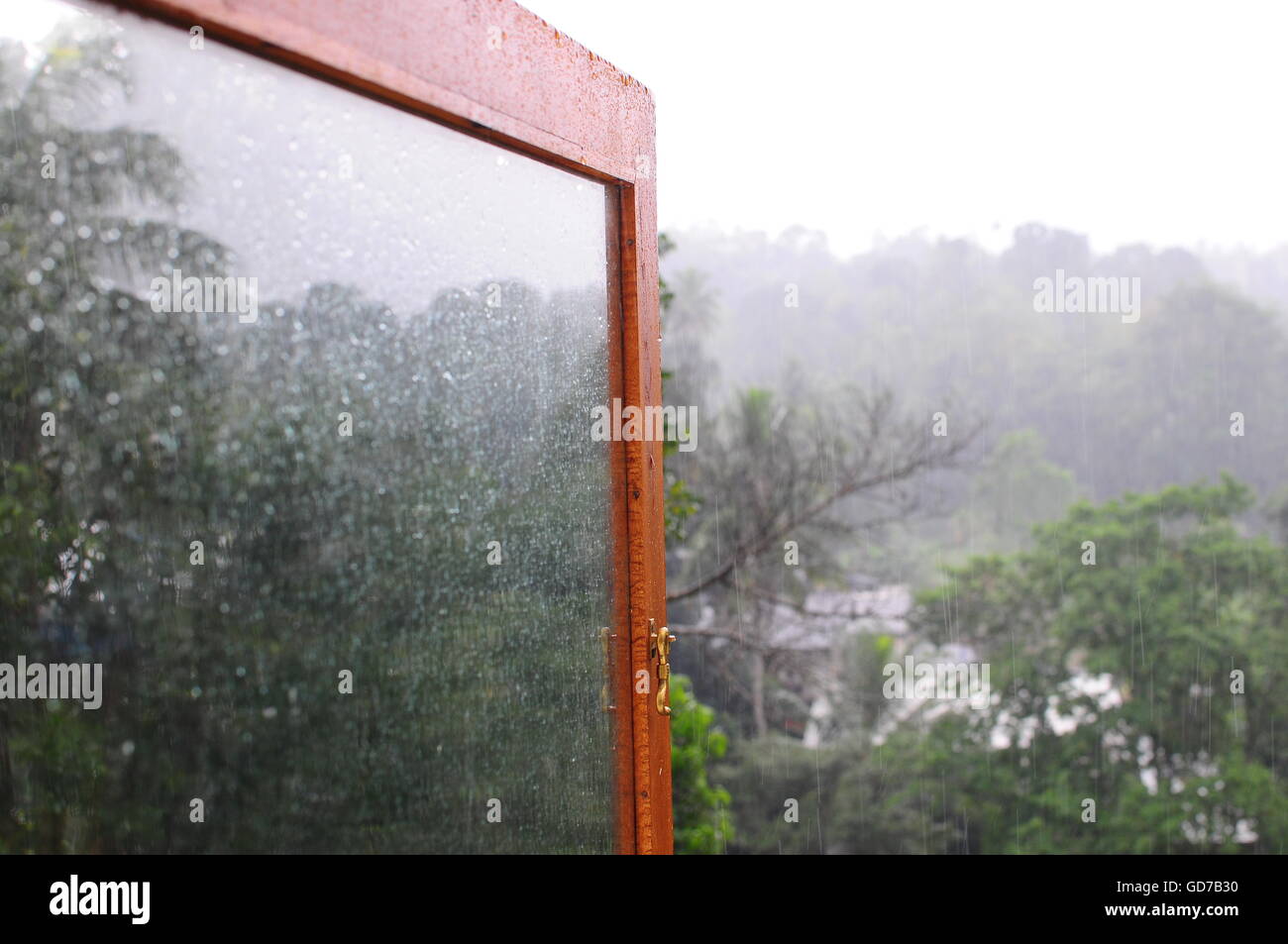 window into the jungle, sri lanka Stock Photo - Alamy