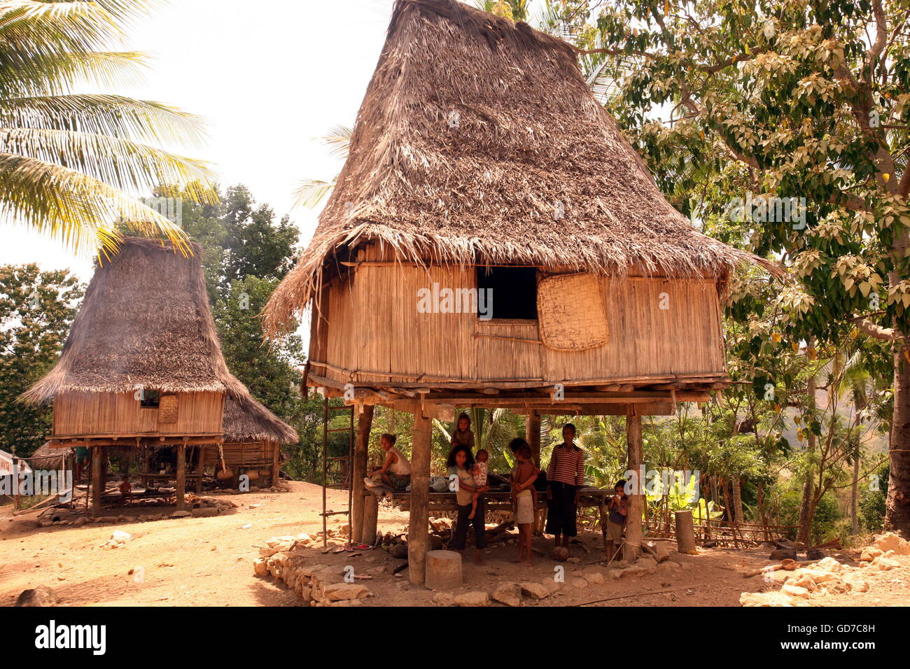 a traditional house at the village of Lospalos in the east of East ...