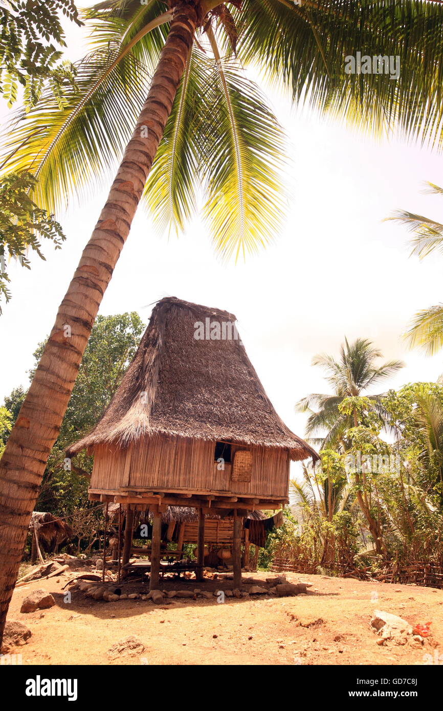 a traditional house at the village of Lospalos in the east of East ...