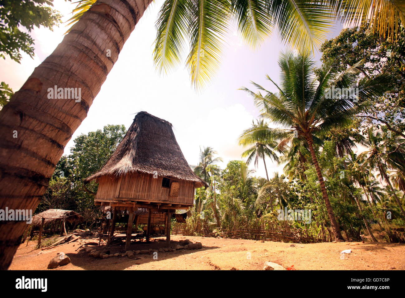 a traditional house at the village of Lospalos in the east of East ...