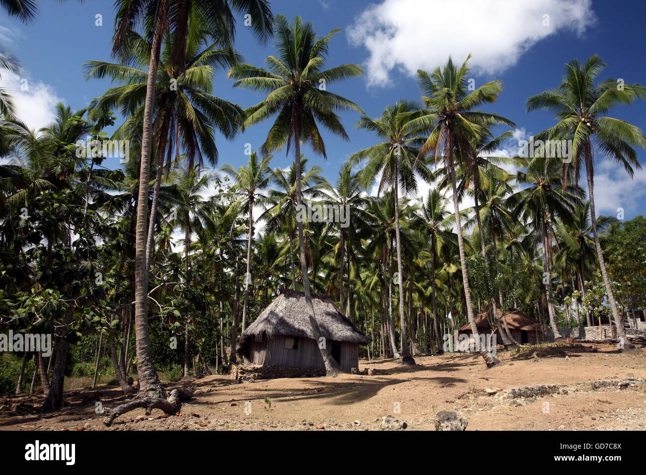 Timor leste landscape hi-res stock photography and images - Alamy