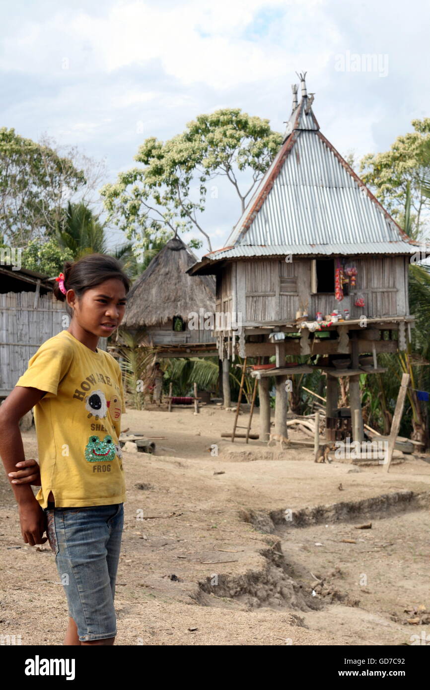 Timor leste traditional house in hi-res stock photography and images ...