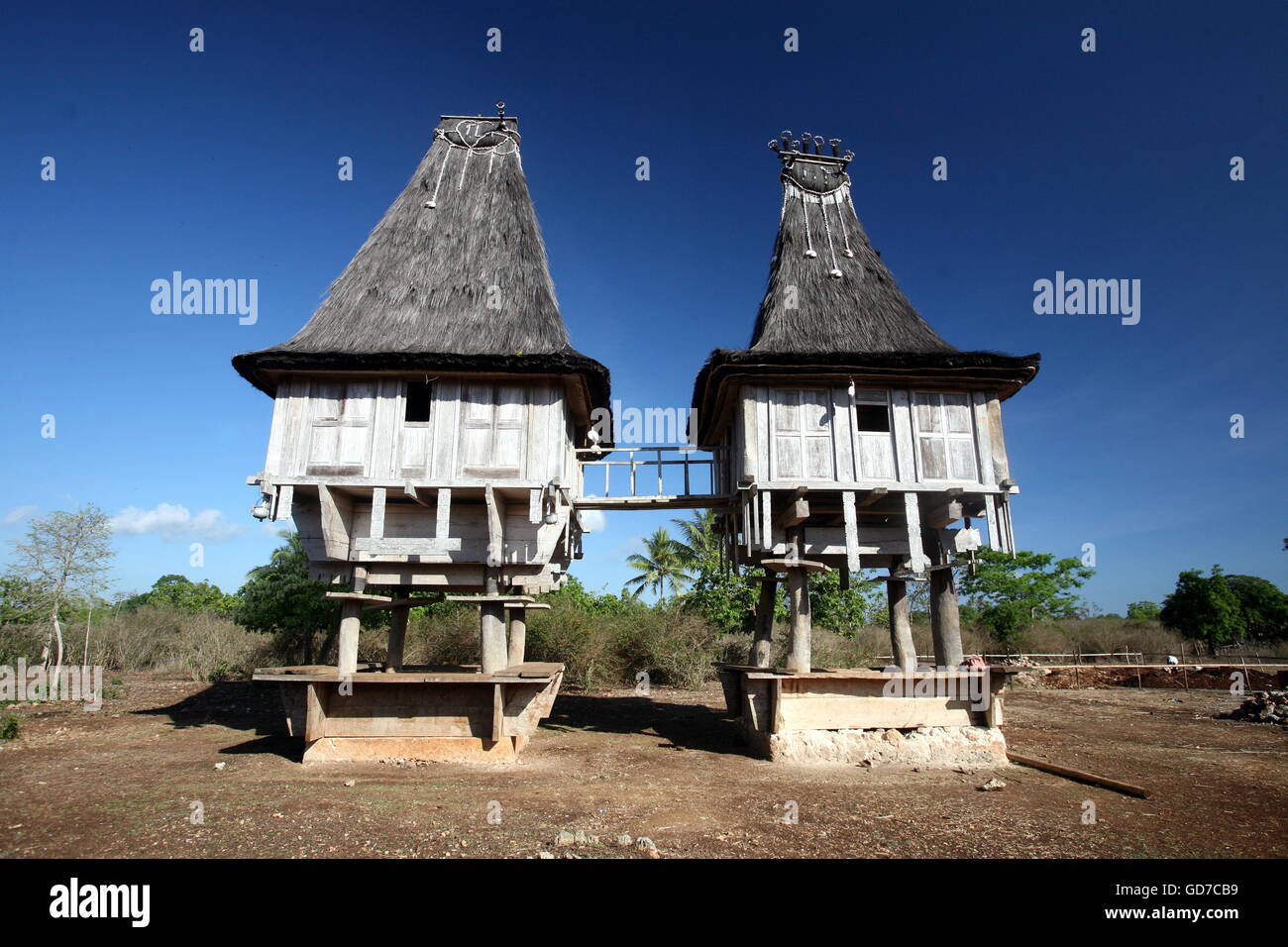 a traditional house at the village of Lospalos in the east of East ...