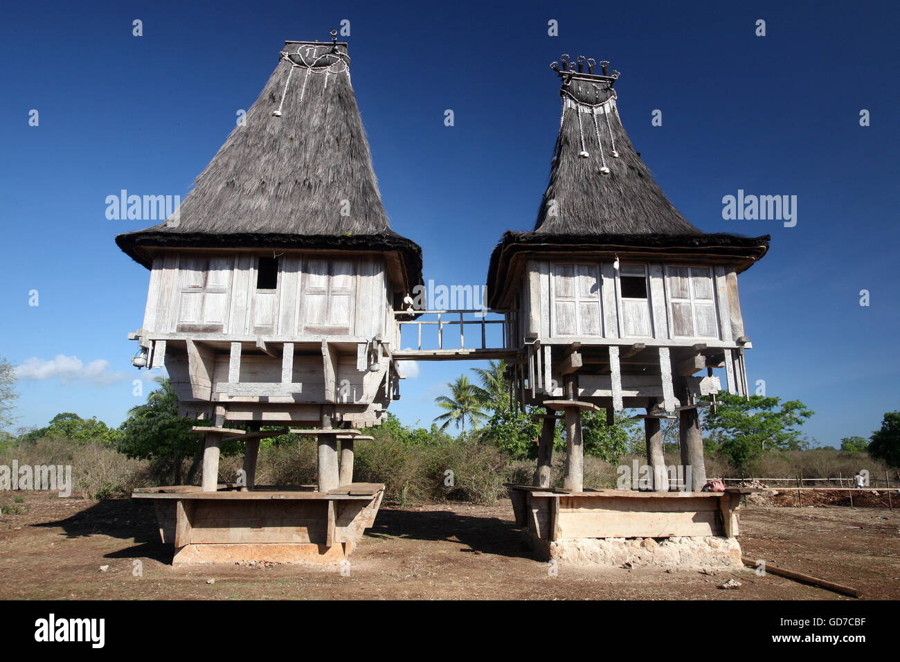 Timor leste traditional house in hi-res stock photography and images ...