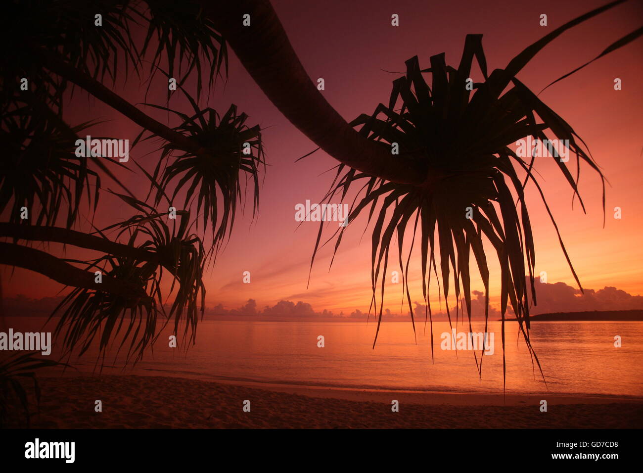 the dreambeach at the Jaco Island at the town of Tutuala in the east of ...