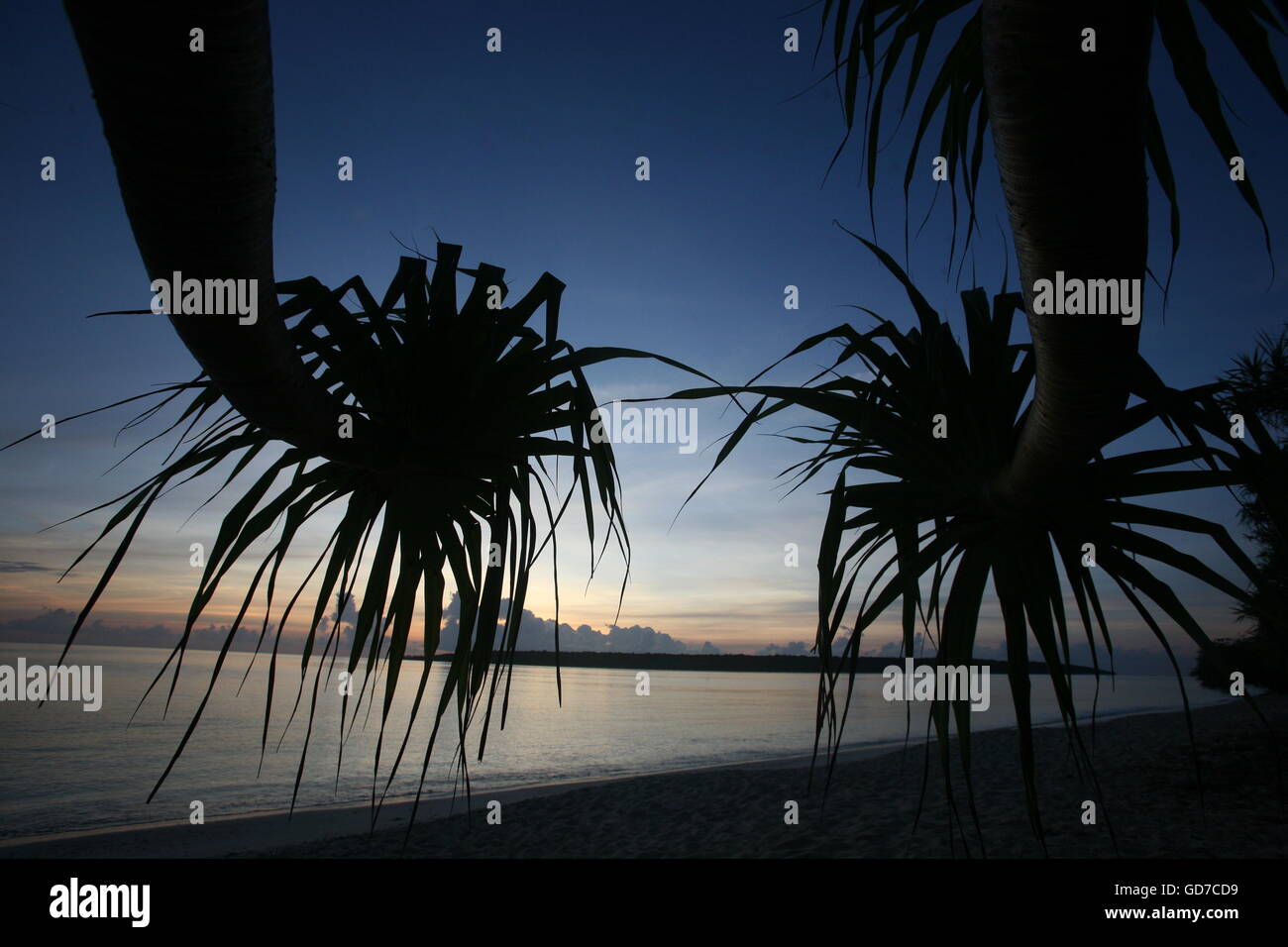 the dreambeach at the Jaco Island at the town of Tutuala in the east of ...