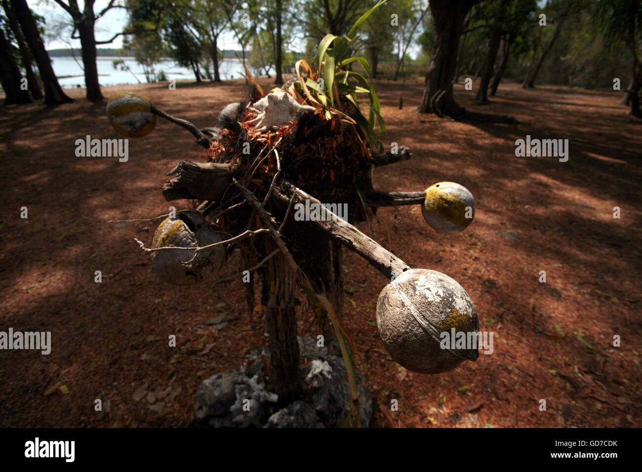 a voodoo pole at the Jaco Island at the town of Tutuala in the east of ...