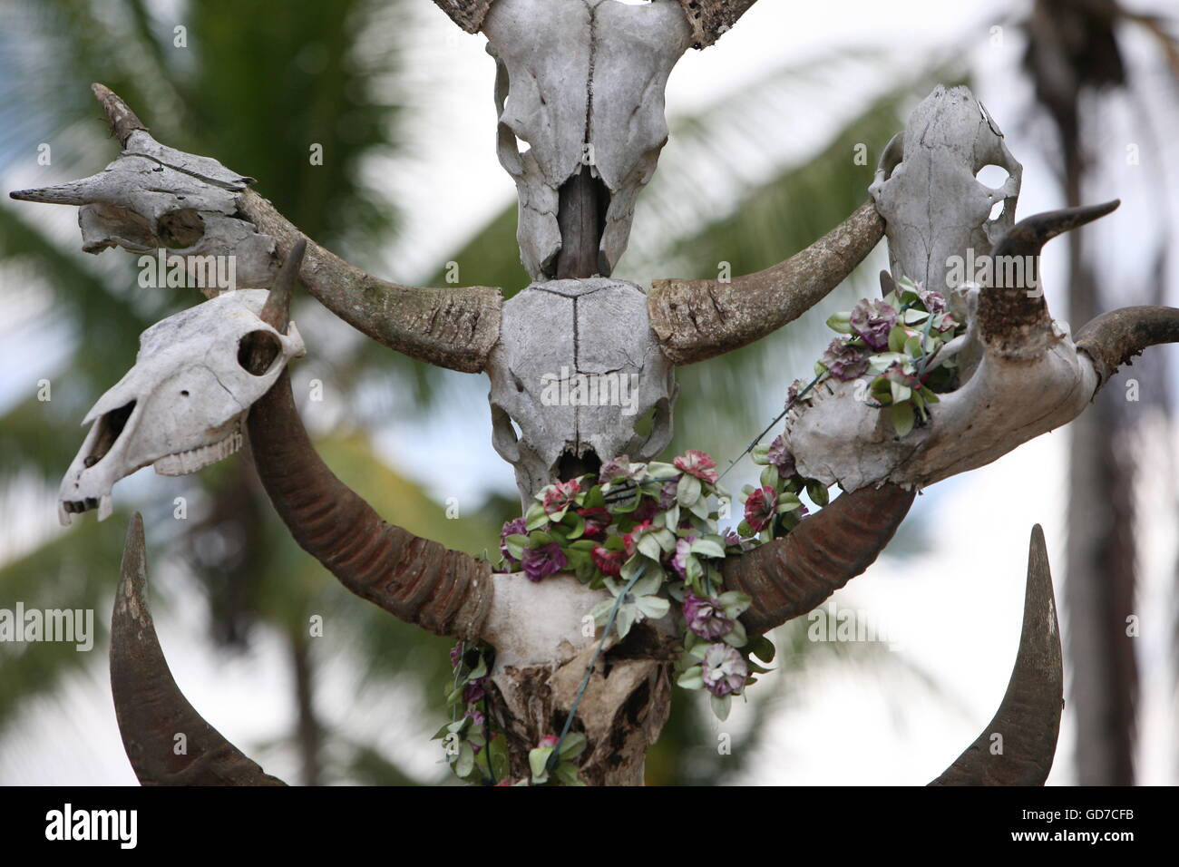 a traditional graveyard at the village of Raca in the east of East ...