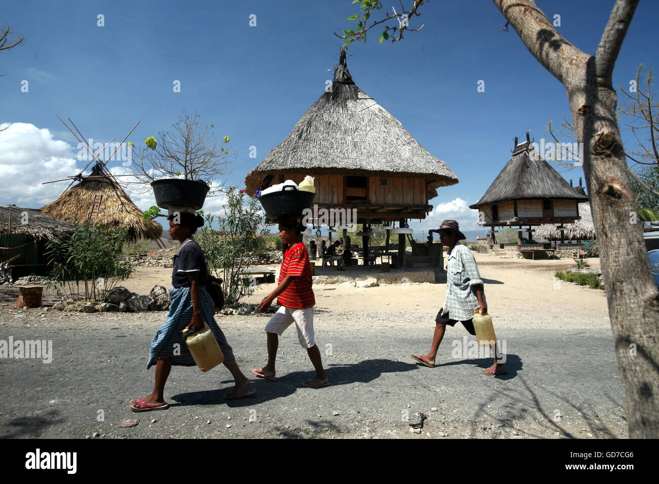 Timor leste traditional house in hi-res stock photography and images ...