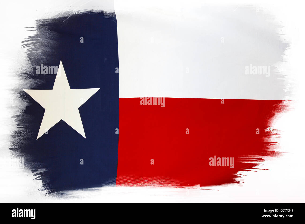 Texas Flag Paintings