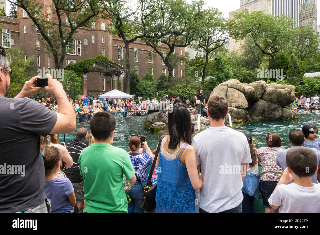 Central park zoo new york lion hi-res stock photography and images - Alamy