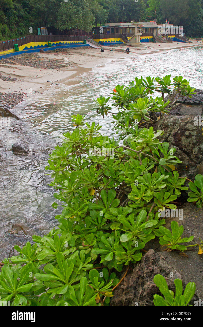 Moon bay hi-res stock photography and images - Alamy