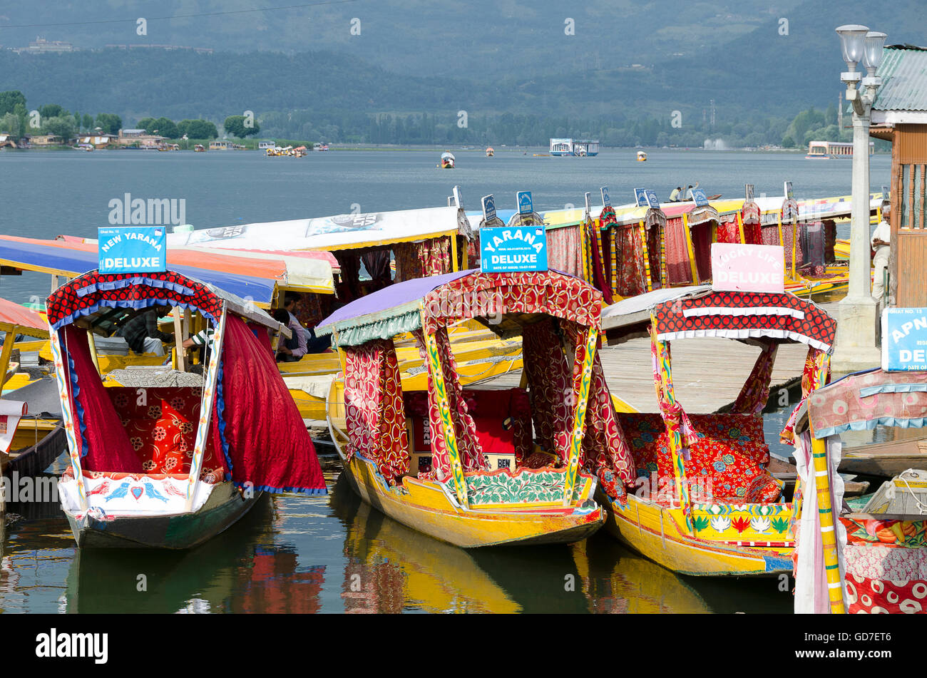 Shikara, rowing boat on Dal Lake, Srinagar, India Stock Photo - Alamy