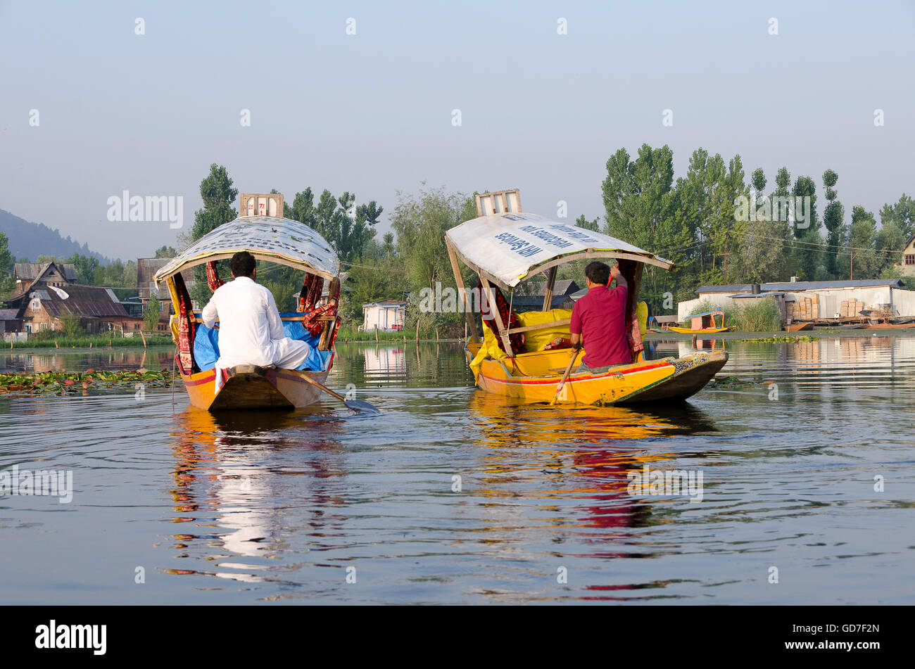 Shikara, rowing boat on Dal Lake, Srinagar, India Stock Photo - Alamy