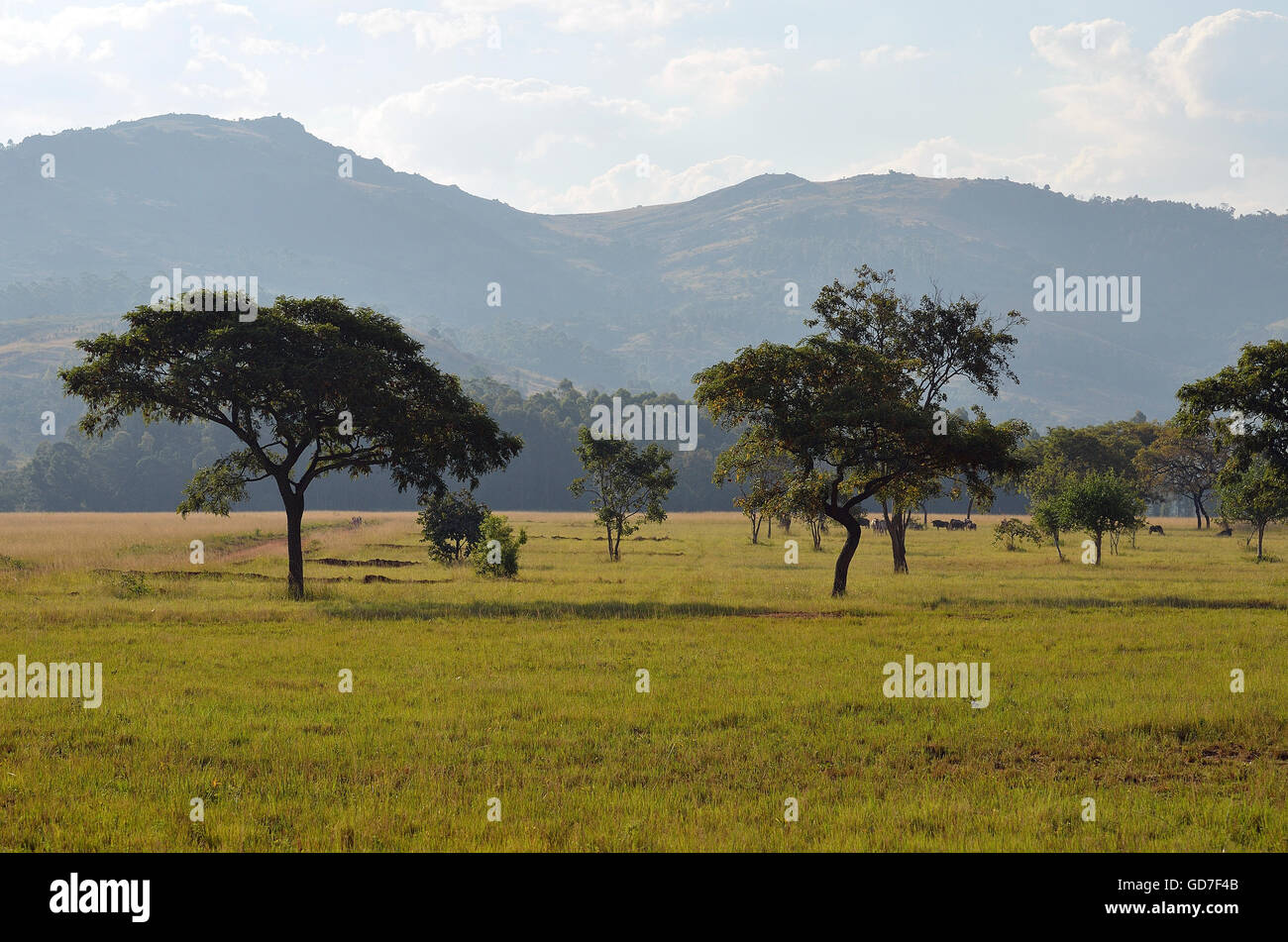 Swaziland Landscape High Resolution Stock Photography and Images - Alamy