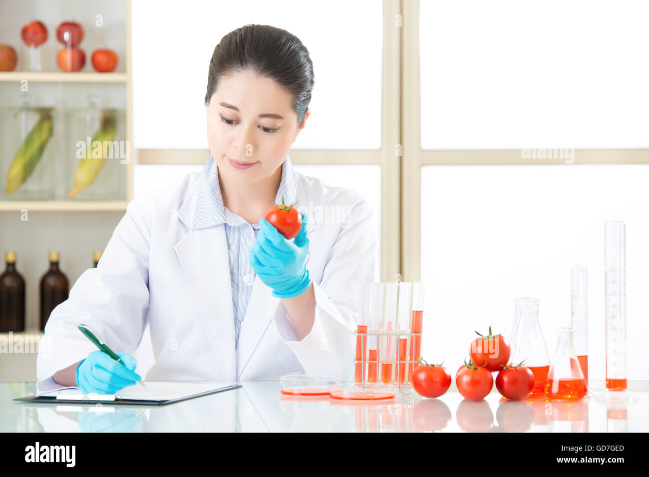 scientist Recording genetic modification data from examining in ...