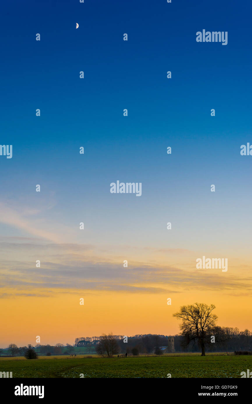 Set sunset sunsets sets dusk countryside tree trees hi-res stock ...