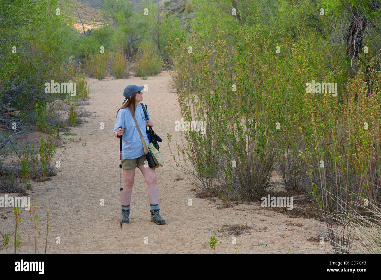 Badger Springs Trail, Agua Fria National Monument, Arizona Stock Photo ...