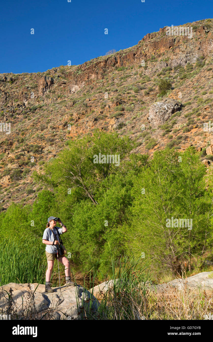 Agua Fria River canyon along Badger Springs Trail, Agua Fria National ...