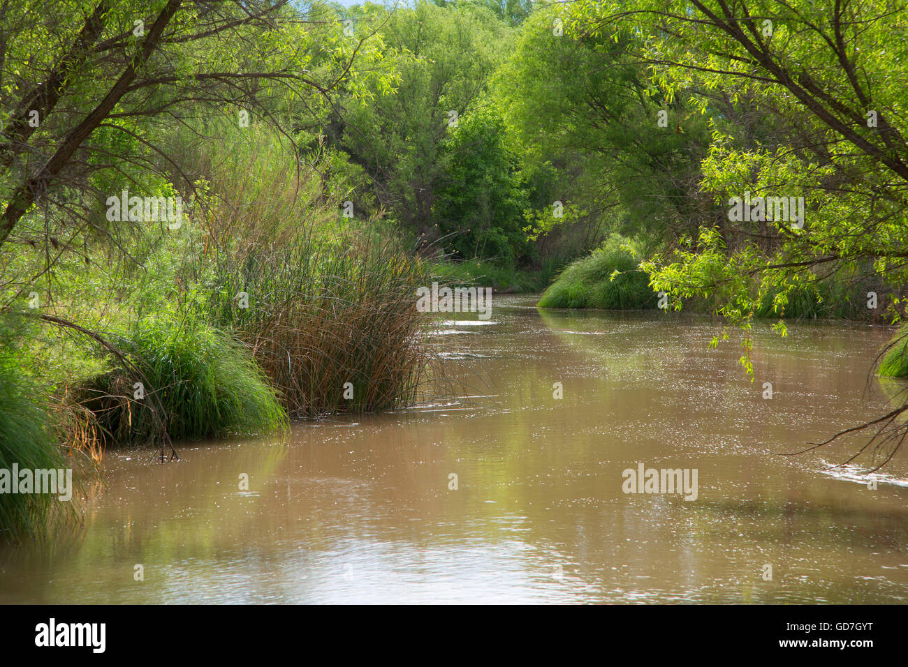 Verde River at Skidmore Lane Day-Use, Prescott National Forest, Arizona ...