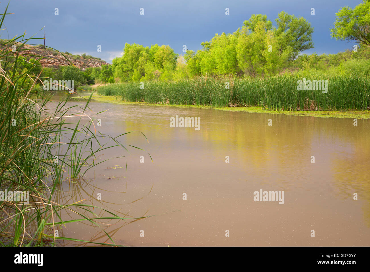 Verde River at Black Canyon Day-Use, Prescott National Forest, Arizona ...