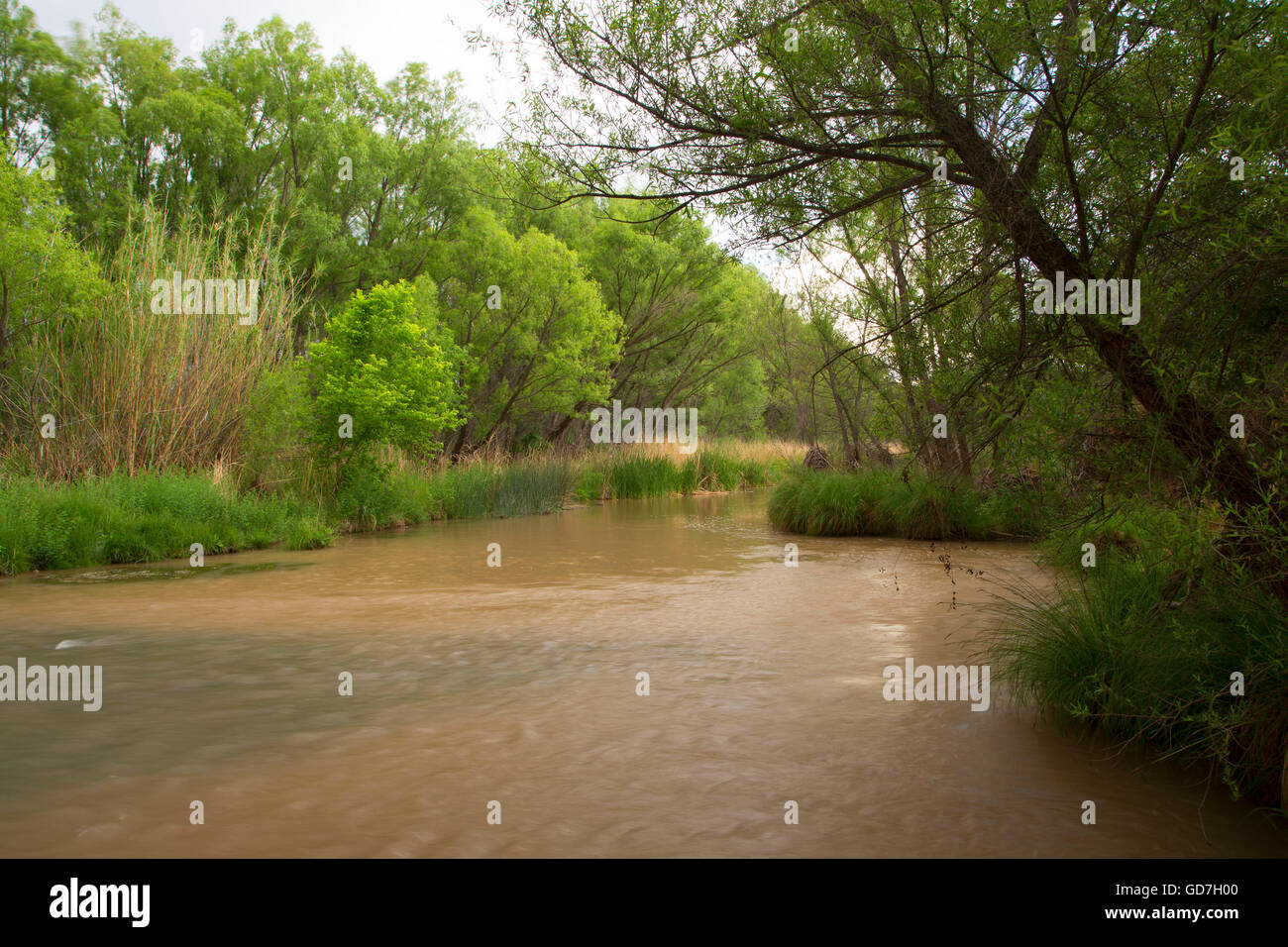 Verde river at black canyon day use hi-res stock photography and images ...