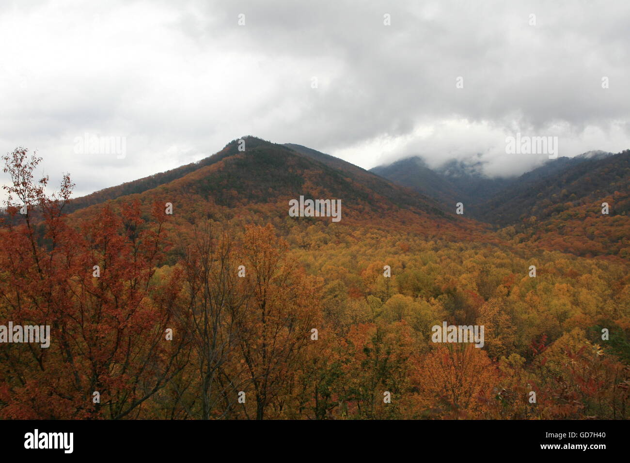 Fall colors in the Smokey Mountains Stock Photo - Alamy