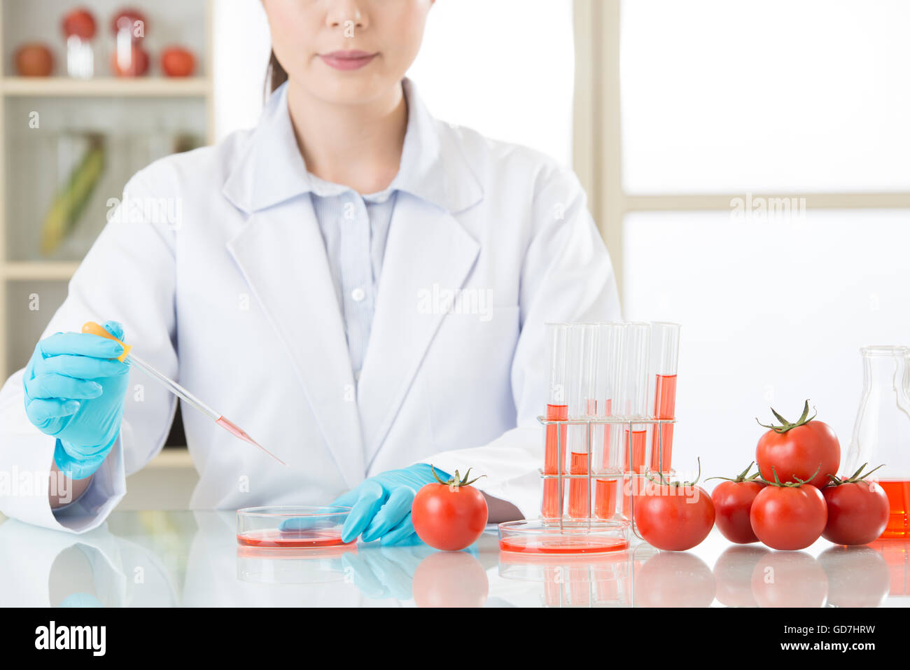 Asian female scientist doing tomato genetic modification research in ...