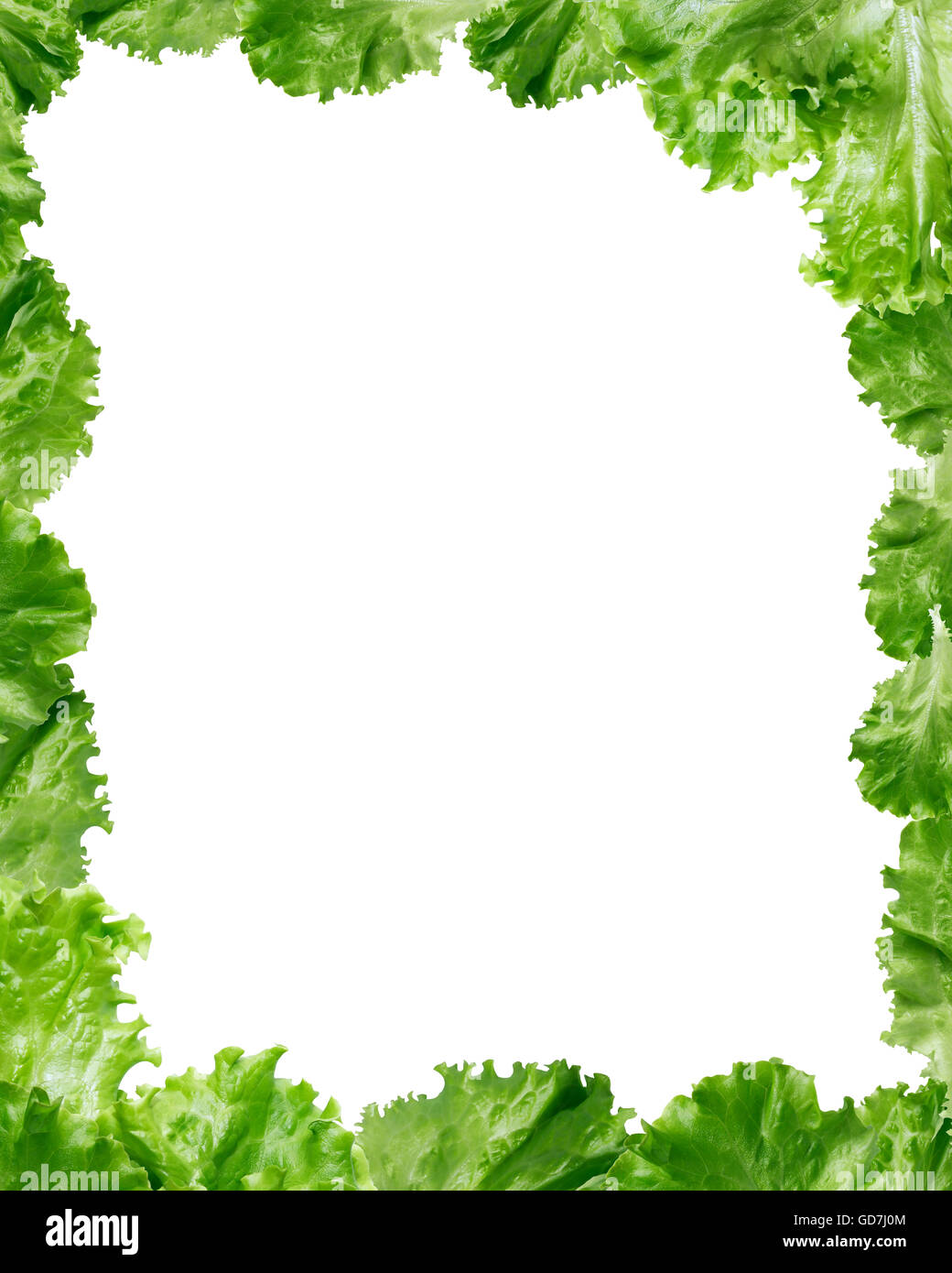 Picture frame made from freshness green lettuce leaves Stock Photo - Alamy