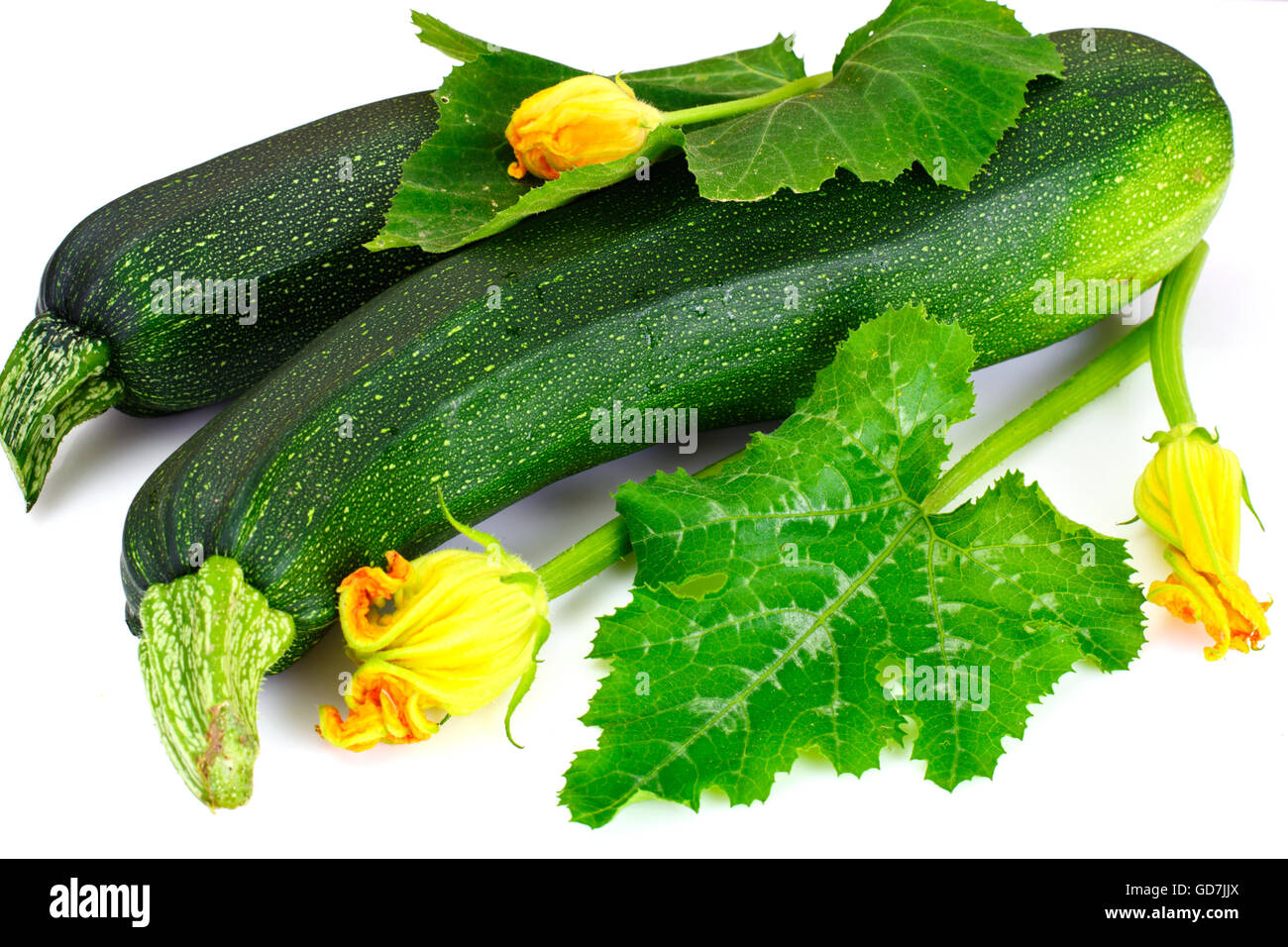 Fresh Green Zucchini with Leaves and Flowers Stock Photo - Alamy